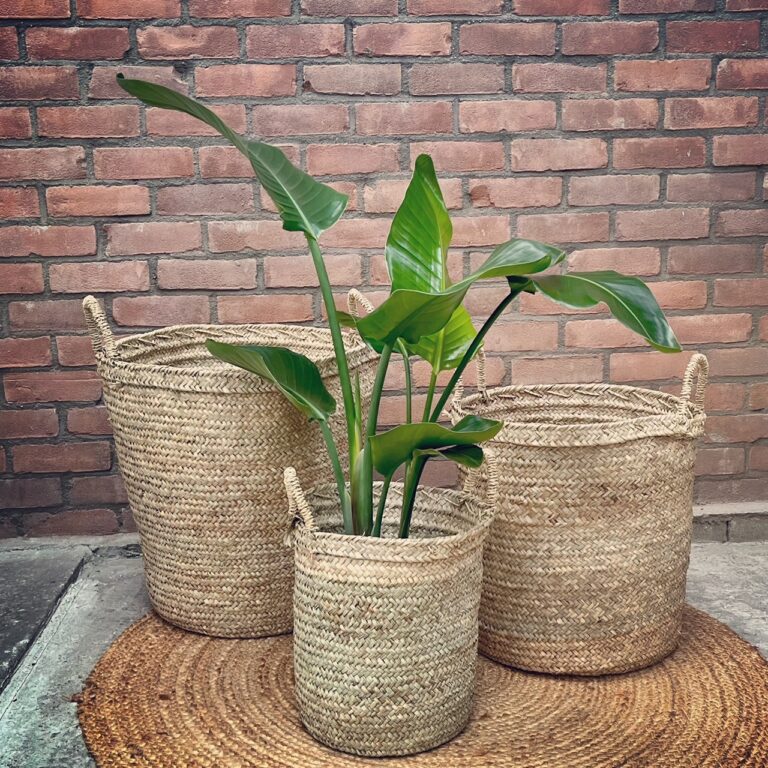 Bloemen en planten – Rotanmanden, de webshop voor rotan artikelen